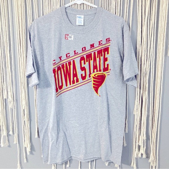 Shirts | Mens Medium Grey Iowa State Tshirt King Tee Basketball | Poshmark